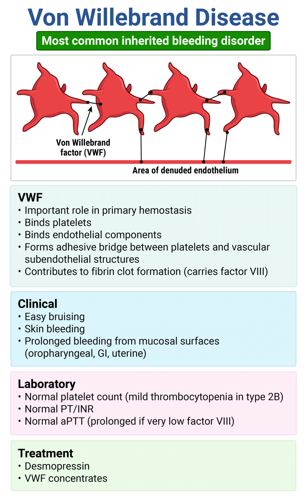 Rapid Review: Von Willebrand Disease - RoshReview.com