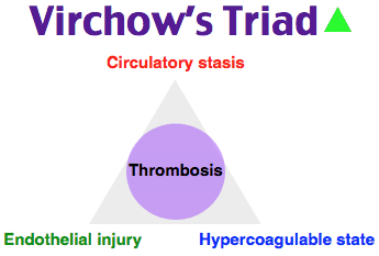 Rapid Review: Virchow's Triad - RoshReview.com