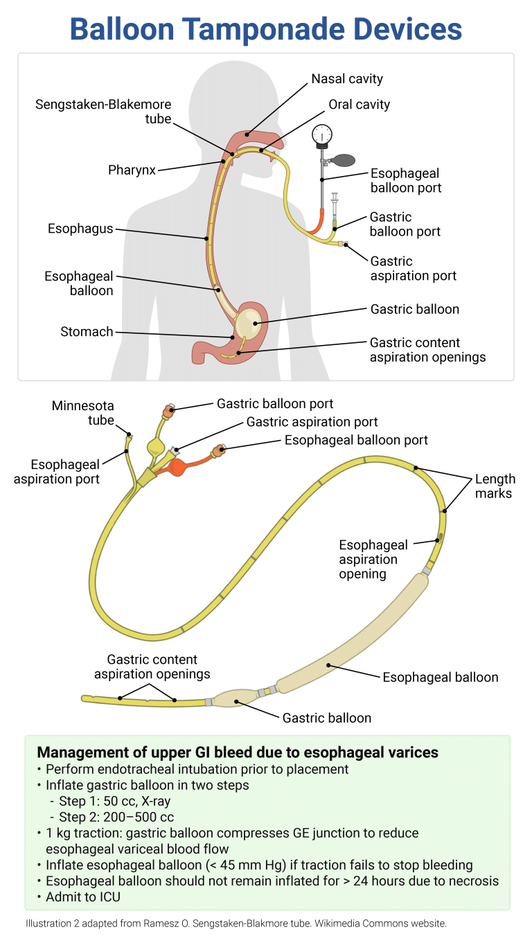 Take a Look Inside the Newest Critical Care Board Review - RoshReview.com