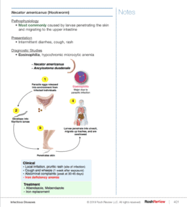 Rapid Review Book for PA Students - RoshReview.com